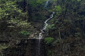 Uma cascata numa área arborizada.
