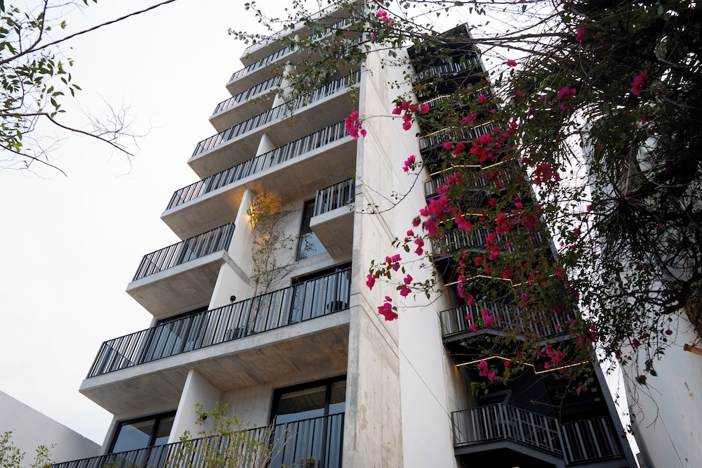 Lapso At Asís - Guadalajara