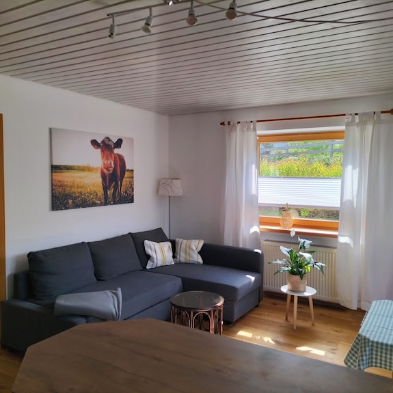 Apartment 40 Sqm For Max. 4 Persons - Walchsee