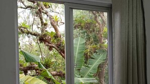 Janela com vista para um jardim tropical, incluindo bananeiras e uma árvore com musgo.