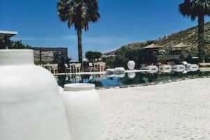 Área de piscina com espreguiçadeiras, palmeiras e céu claro.