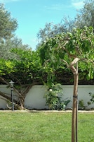 Jardim
