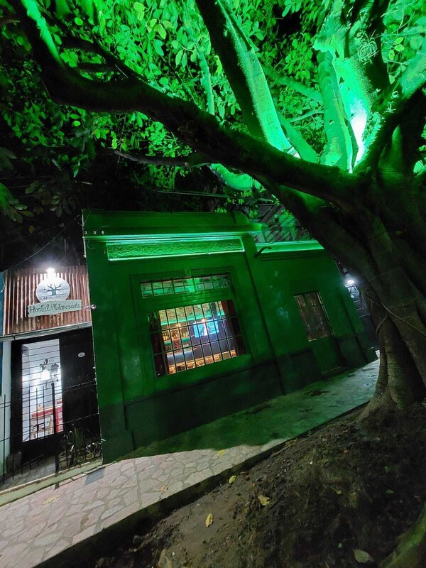 El Gran Gomero - Chaco