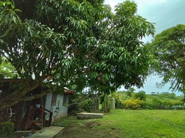 Dormitório Partilhado, 1 quarto, acessível, fumadores | Terrenos do alojamento