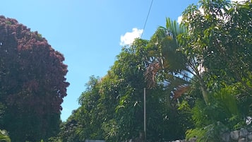 Dormitório Partilhado, 1 quarto, acessível, fumadores | Terrenos do alojamento