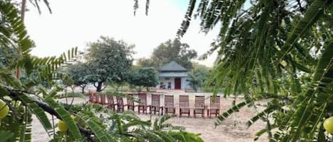 Jardim