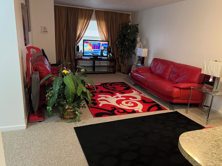 Charming 2-bedroom Apartment With Wifi, Ac In Terrific Lakeland - Lakeland, FL