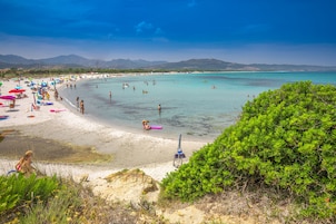 Uma praia com águas turquesa cristalinas, pessoas nadando e tomando sol, e uma fileira de árvores em primeiro plano.