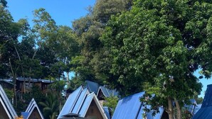 Uma área de piscina com piscina azul cristalina, cadeiras de descanso e árvores frondosas.