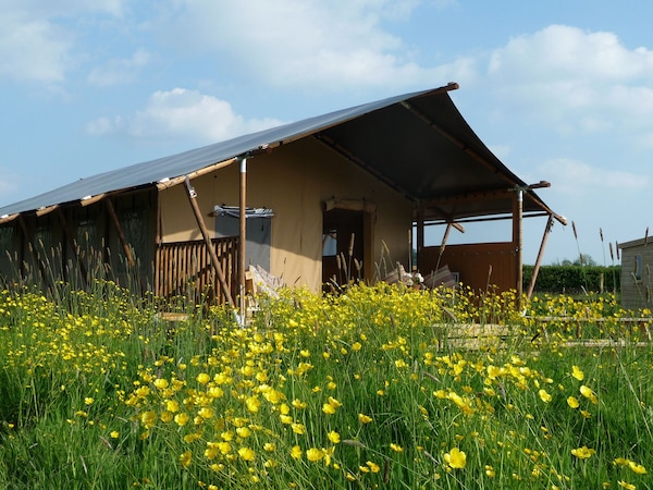 Pippin Lodge - Glastonbury