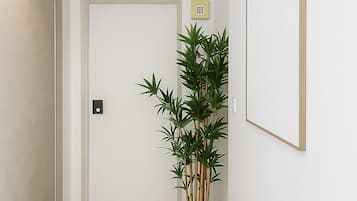 Entrada (vista interior)