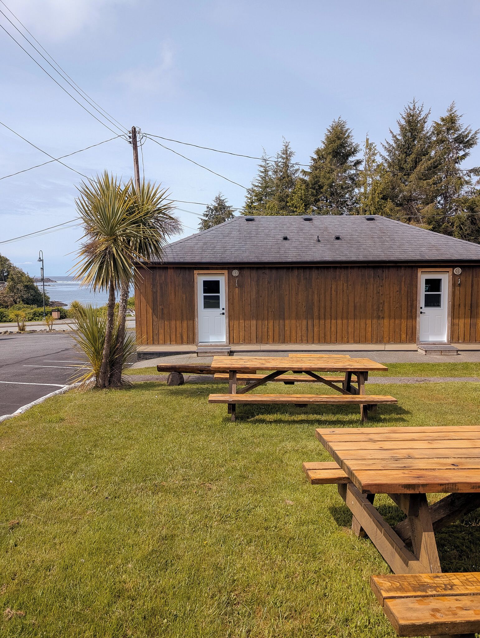 Uma cabana de madeira com duas portas, uma mesa de piquenique e uma pequena palmeira em primeiro plano.