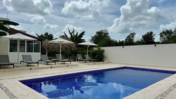 Piscina com espreguiçadeiras e guarda-sóis, cercada por um muro branco e vegetação tropical.