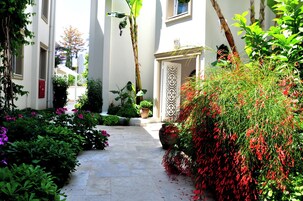 Um caminho de pedra estreito, ladeado por vegetação exuberante e plantas floridas, leva a um edifício branco com entrada decorativa.