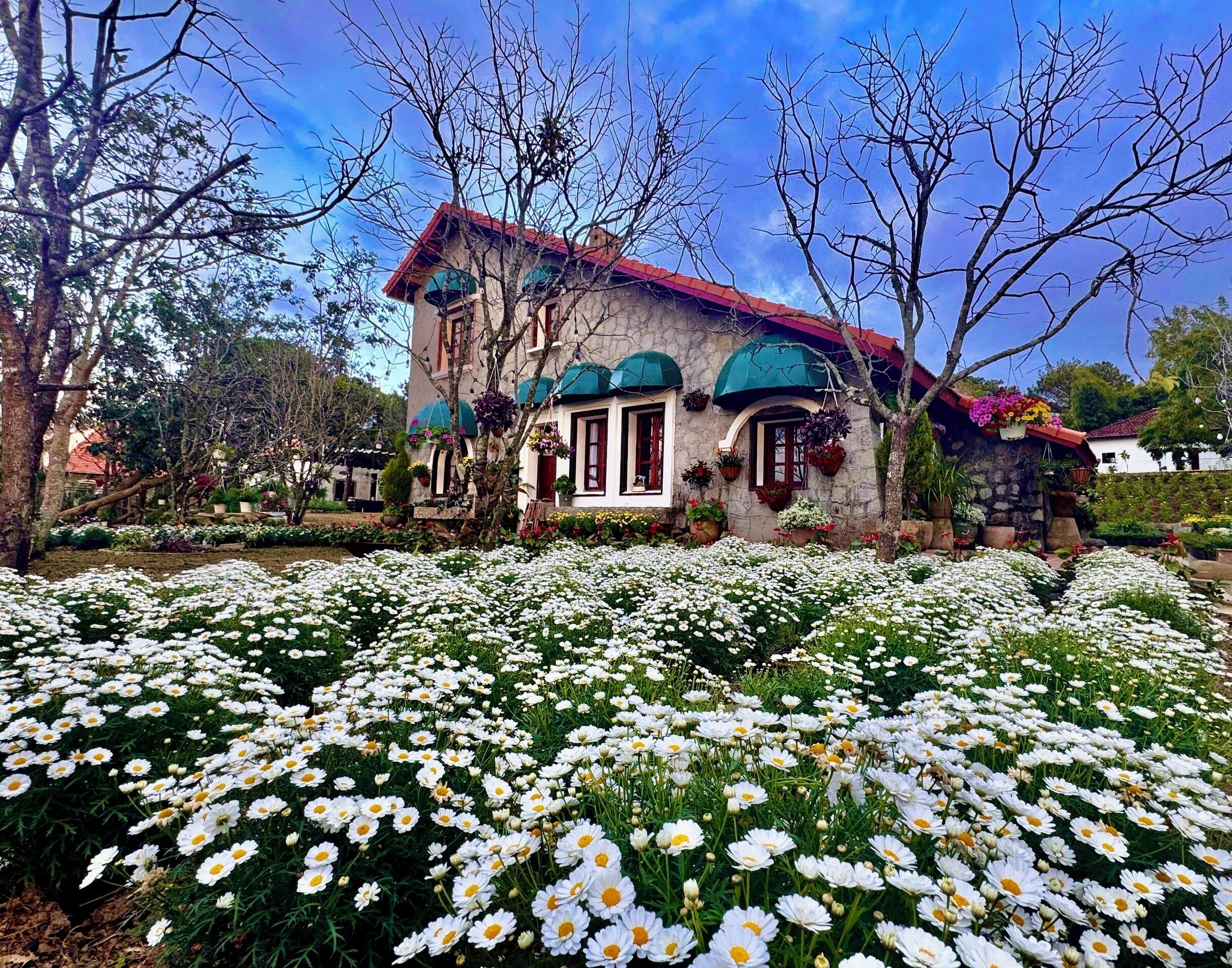 Suíte júnior | Roupas de cama premium, quartos à prova de som, Wi-Fi de cortesia