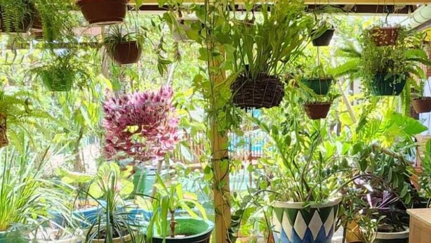Uma área de varanda coberta com diversos vasos de plantas e uma mesa de madeira.