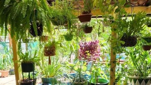 Uma área de varanda coberta com vasos suspensos e plantas em vasos, piso de azulejo e uma mesa e cadeira de madeira.