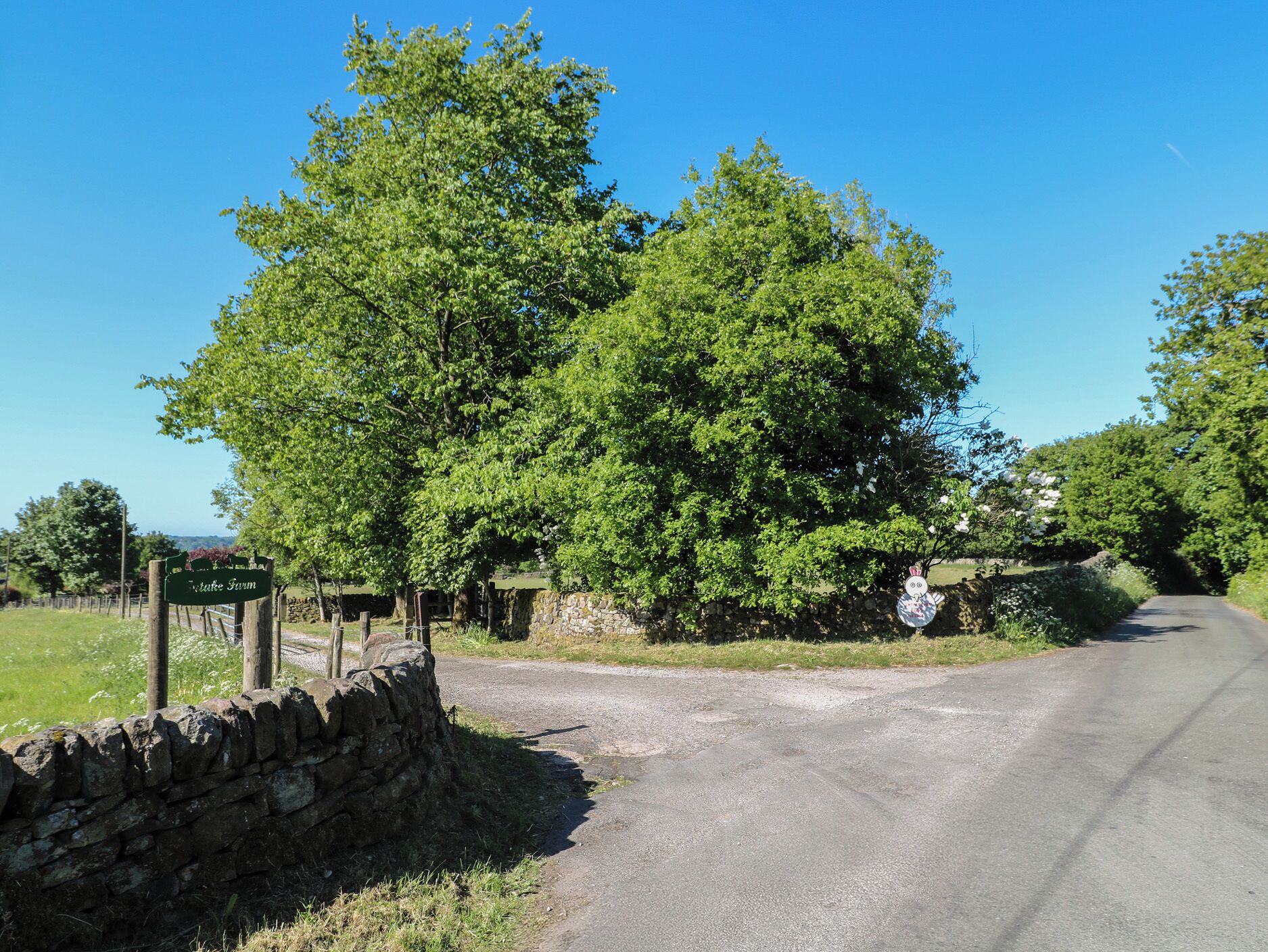 Área da propriedade