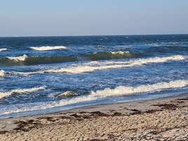 Uma praia com ondas e algas na areia.