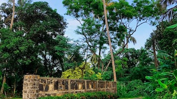 Um caminho pavimentado serpenteia por um jardim exuberante, com palmeiras e um muro de pedra.