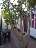 Terraço/pátio interior