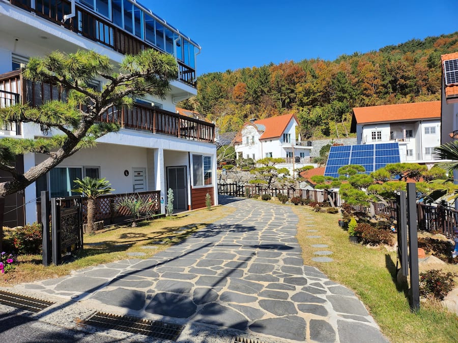 Rua residencial com calçadas de pedra, casas com painéis solares e um pinheiro.