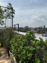 Um jardim no terraço com plantas em vasos e uma grade de metal.