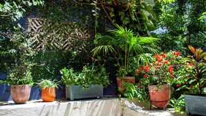 Um jardim com vasos de plantas variadas e uma estrutura metálica decorativa.
