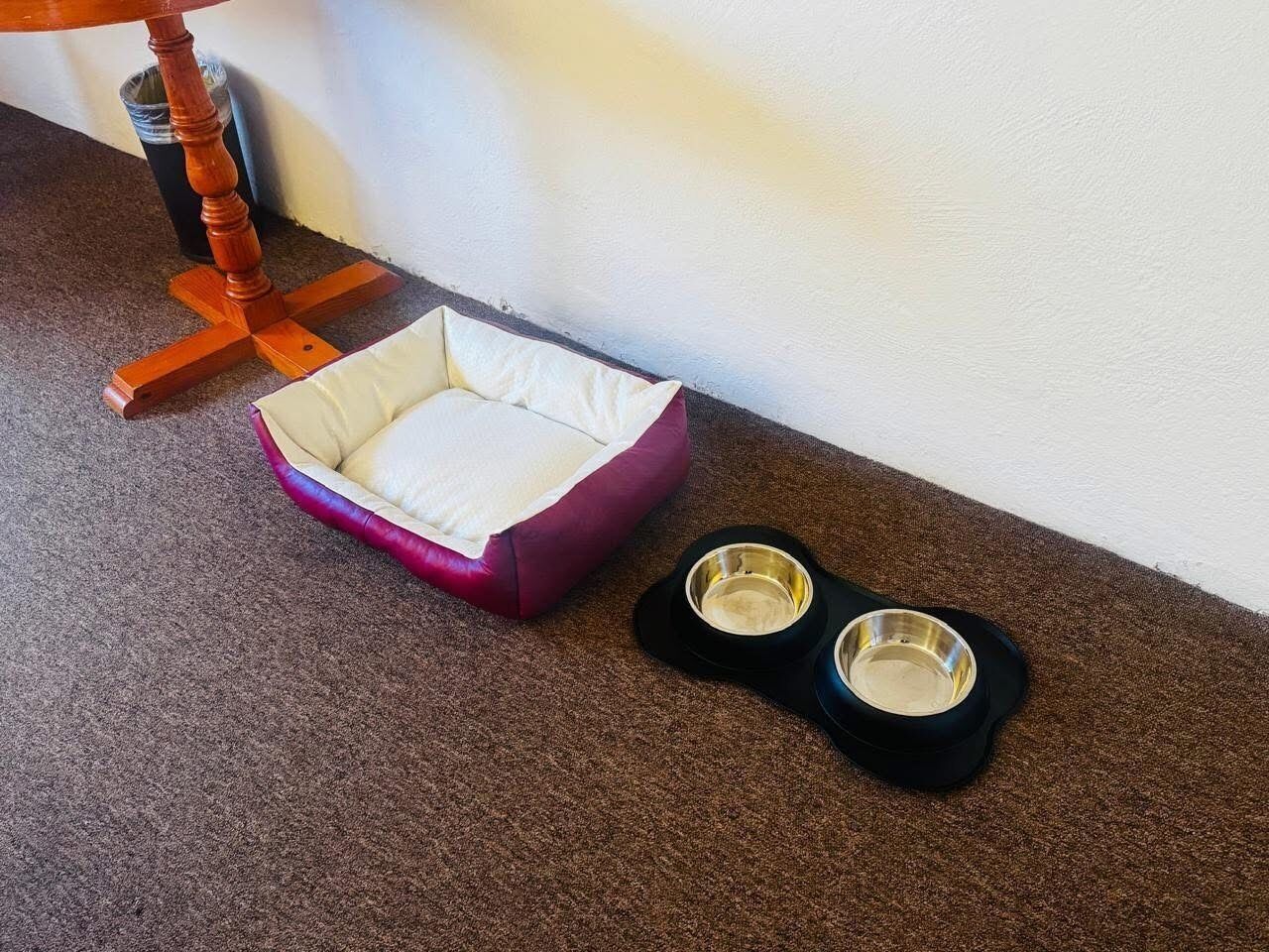 Uma cama para animais de estimação e duas tigelas em um chão coberto de carpete.