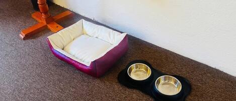 Uma cama para animais de estimação e duas tigelas em um chão coberto de carpete.