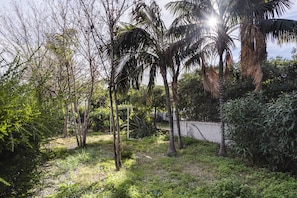 Jardim