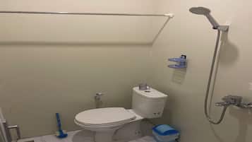 Chuveiro, toalhas de banho, shampoo, papel higiênico