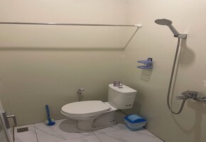 Chuveiro, toalhas de banho, shampoo, papel higiênico