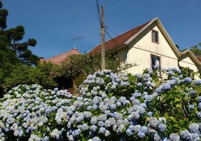 Área da propriedade