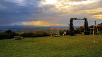 Jardim