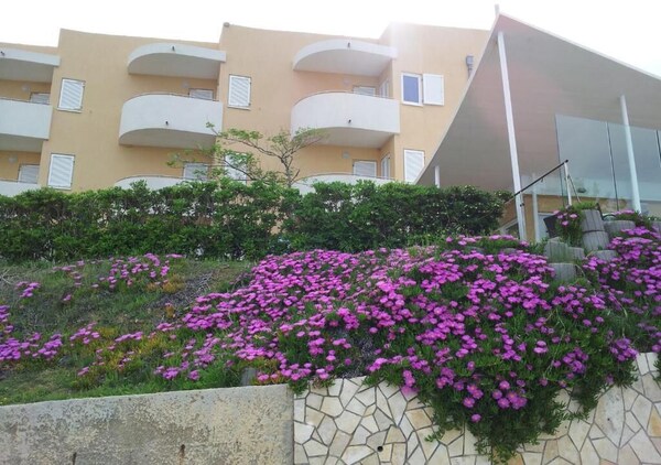 Apartments & Restaurant Condura Croatica - Nin