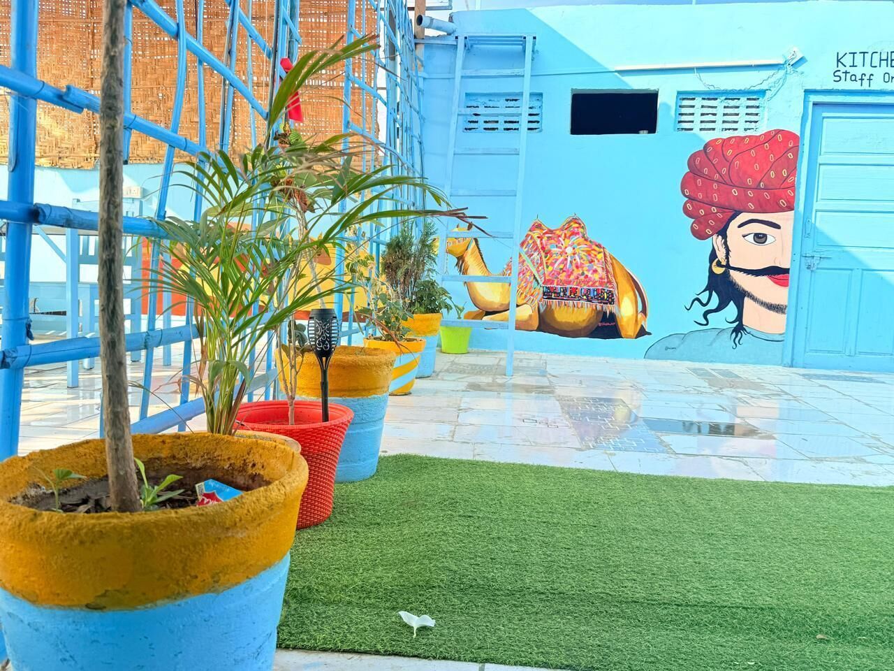 Área externa colorida com plantas em vasos, um mural e um edifício azul com uma placa que diz 'KITCHEN Staff Office'.