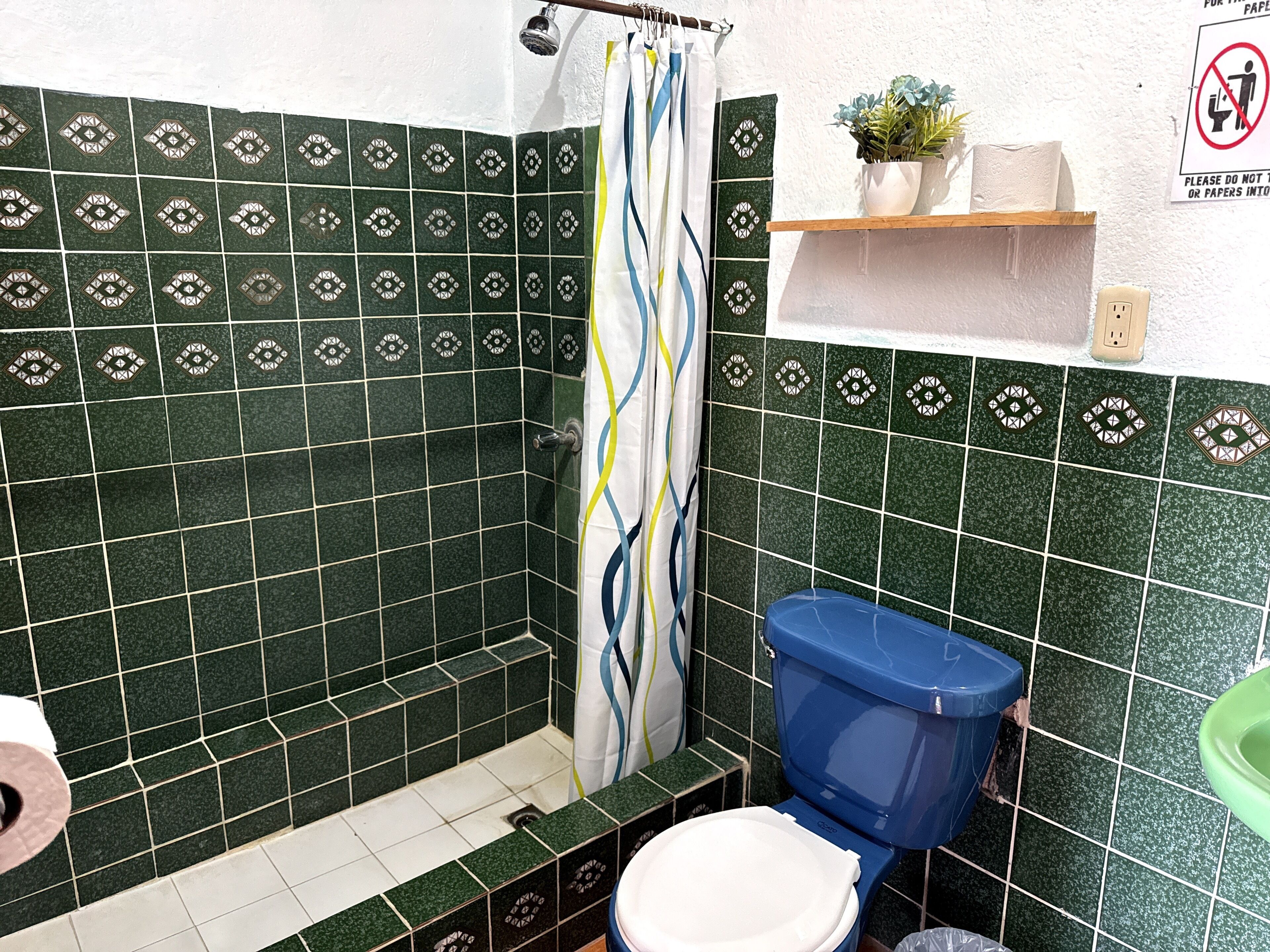 Casa de banho com azulejos verdes estampados, cortina de chuveiro, sanita e uma prateleira com uma planta, e um aviso a proibir o descarte de papel.
