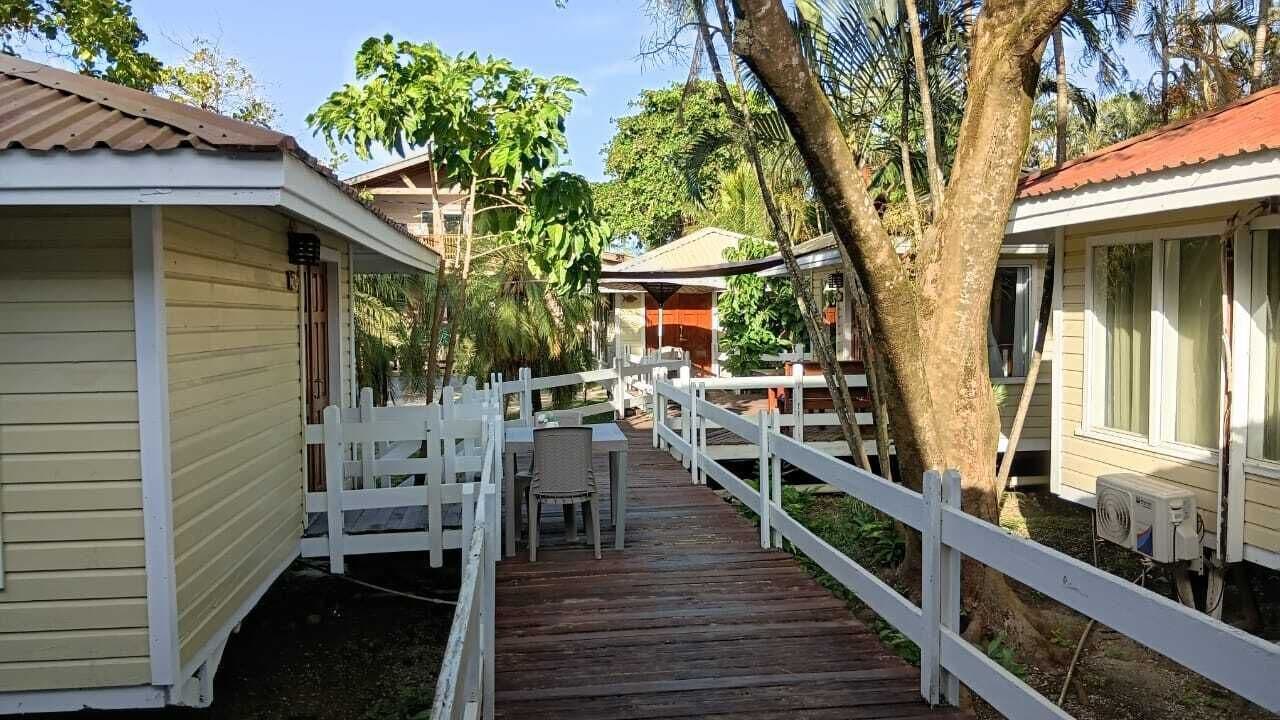 Um deck de madeira conecta dois edifícios, com guarda-corpos brancos, cercado por vegetação.