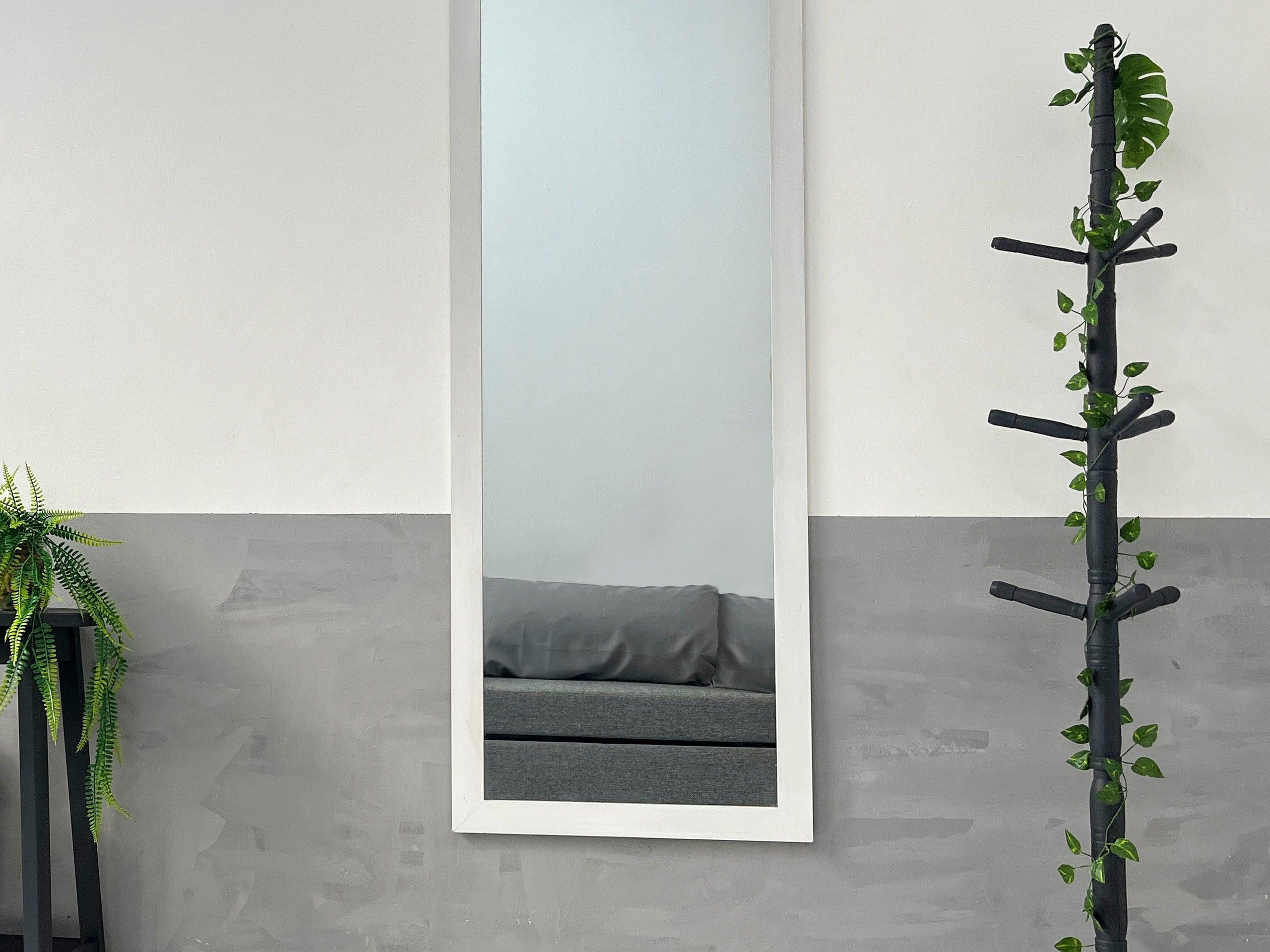 Um espelho reflete um sofá cinza, um suporte preto para plantas com folhagem verde e uma parede cinza.