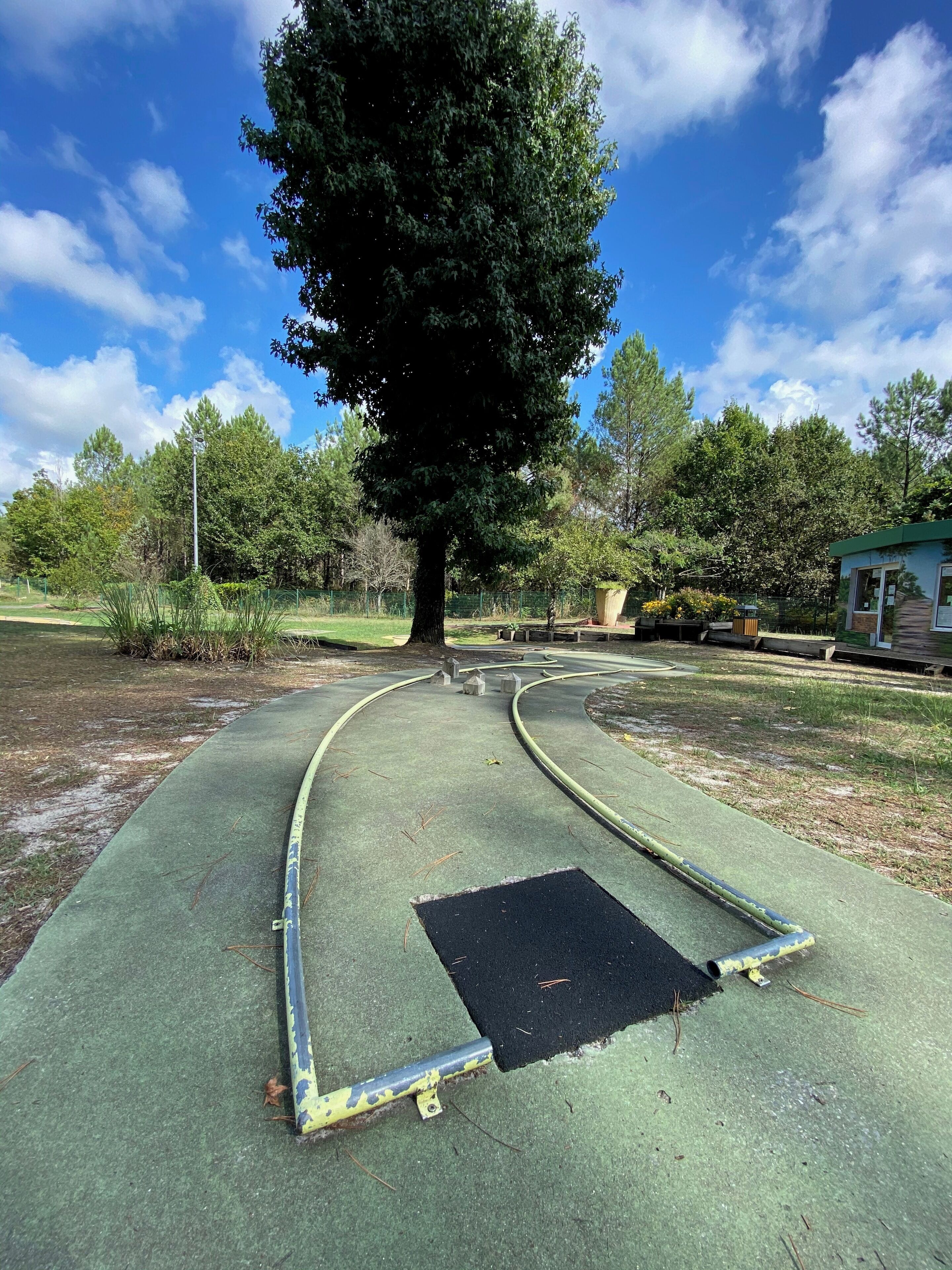Um parque com um caminho verde, uma árvore grande e um pequeno edifício.