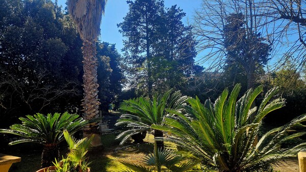 라 피네타 - 레체