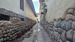 Um estreito beco de paralelepípedos ladeado por paredes de pedra e vasos de plantas.