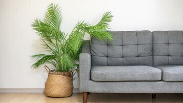 Quarto básico, 1 quarto (Room 203 (Pet / BBQ)) | 1 quarto, Wi-Fi de cortesia