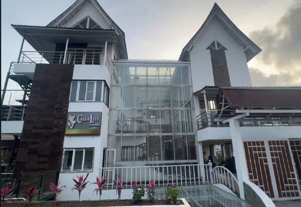 Calla Lily By The Brook - Kodaikanal