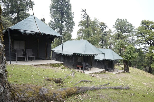 The Little Pahadi - Uttarakhand