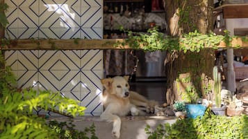 Área da propriedade