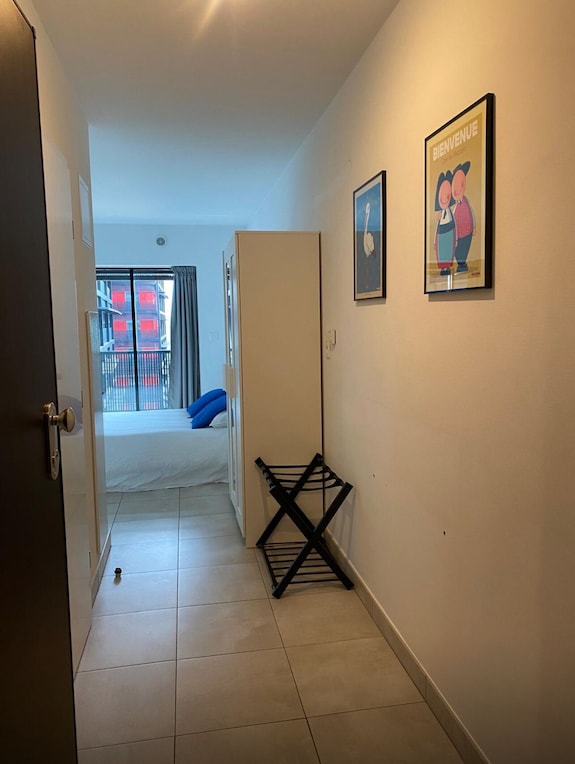 Studio In Tour Black Swans. Train Station And Parliament Direct Streetcar Arrival 24/24. - Strasbourg