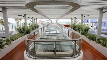 Apartamento Básico | Terrenos do alojamento