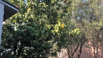 Quarto Duplo Básico, varanda, vista para o jardim | Terraço/pátio interior